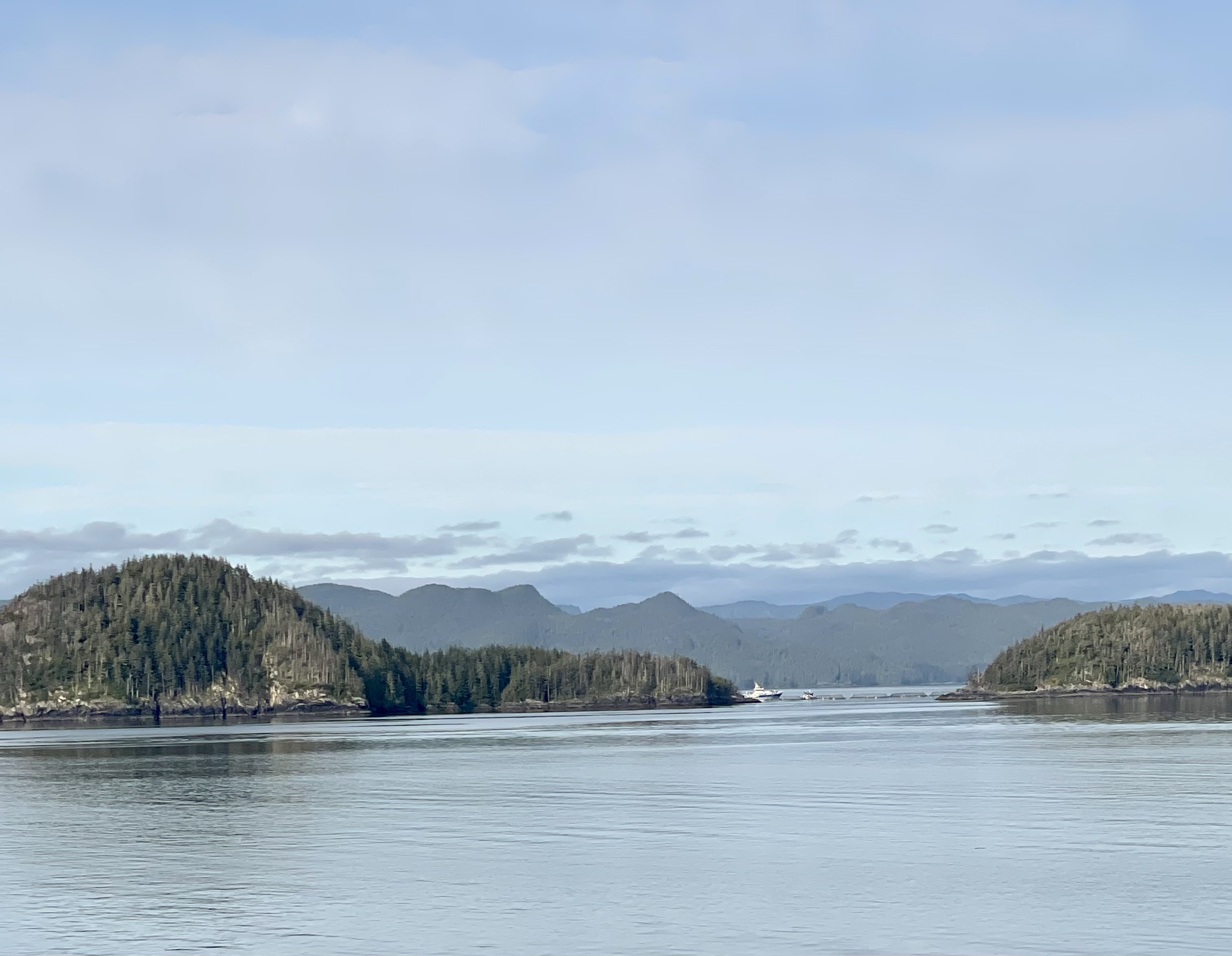 Alaska – Day 3 – Inside Passage – Pics Part 1! – The Wandering Italian