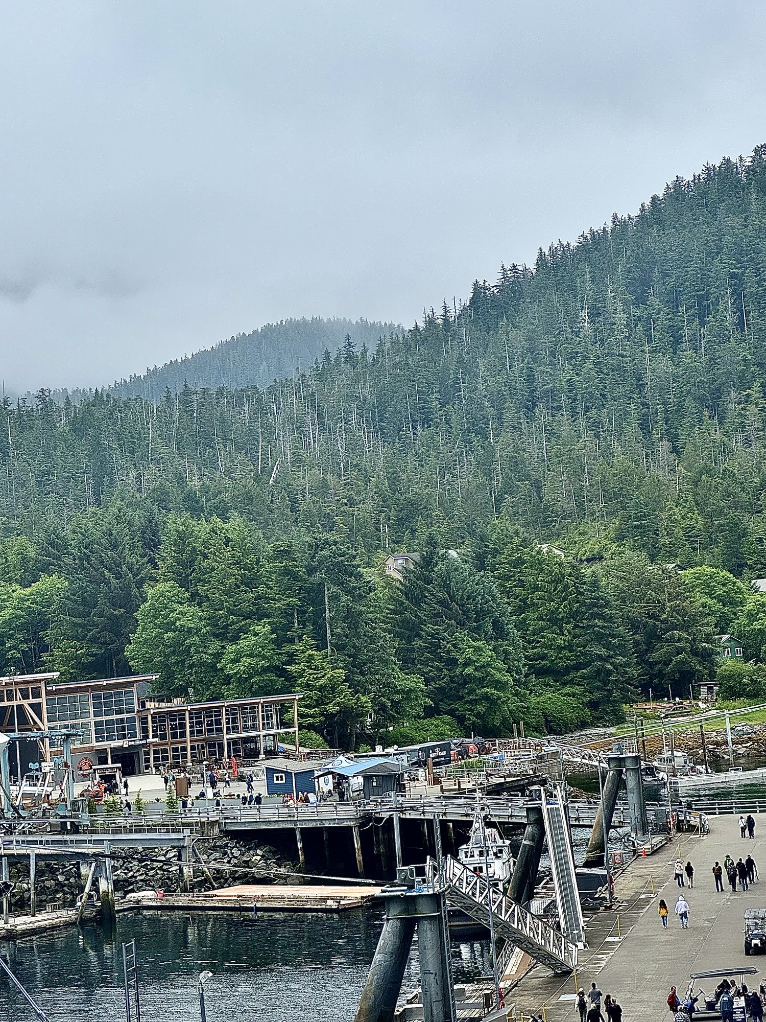 Alaska – Day 9 – Sitka – Pics Part 1! – The Wandering Italian